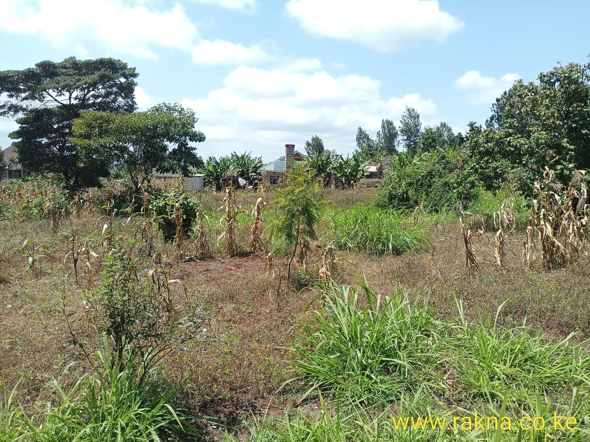 1/4-Acre plots forsale at Thimangiri, Meru – Rakna Properties